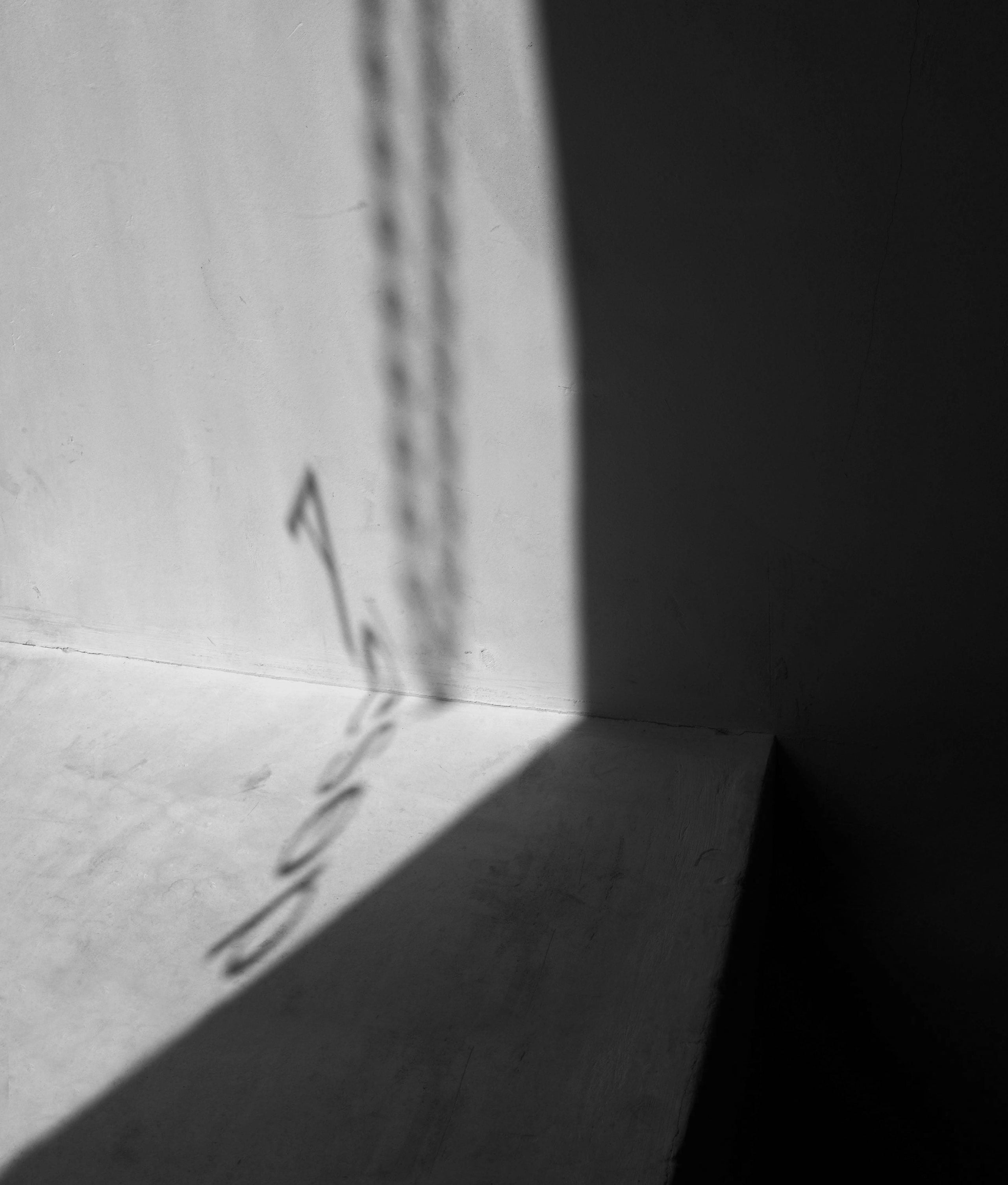 Career opportunities | Aesop