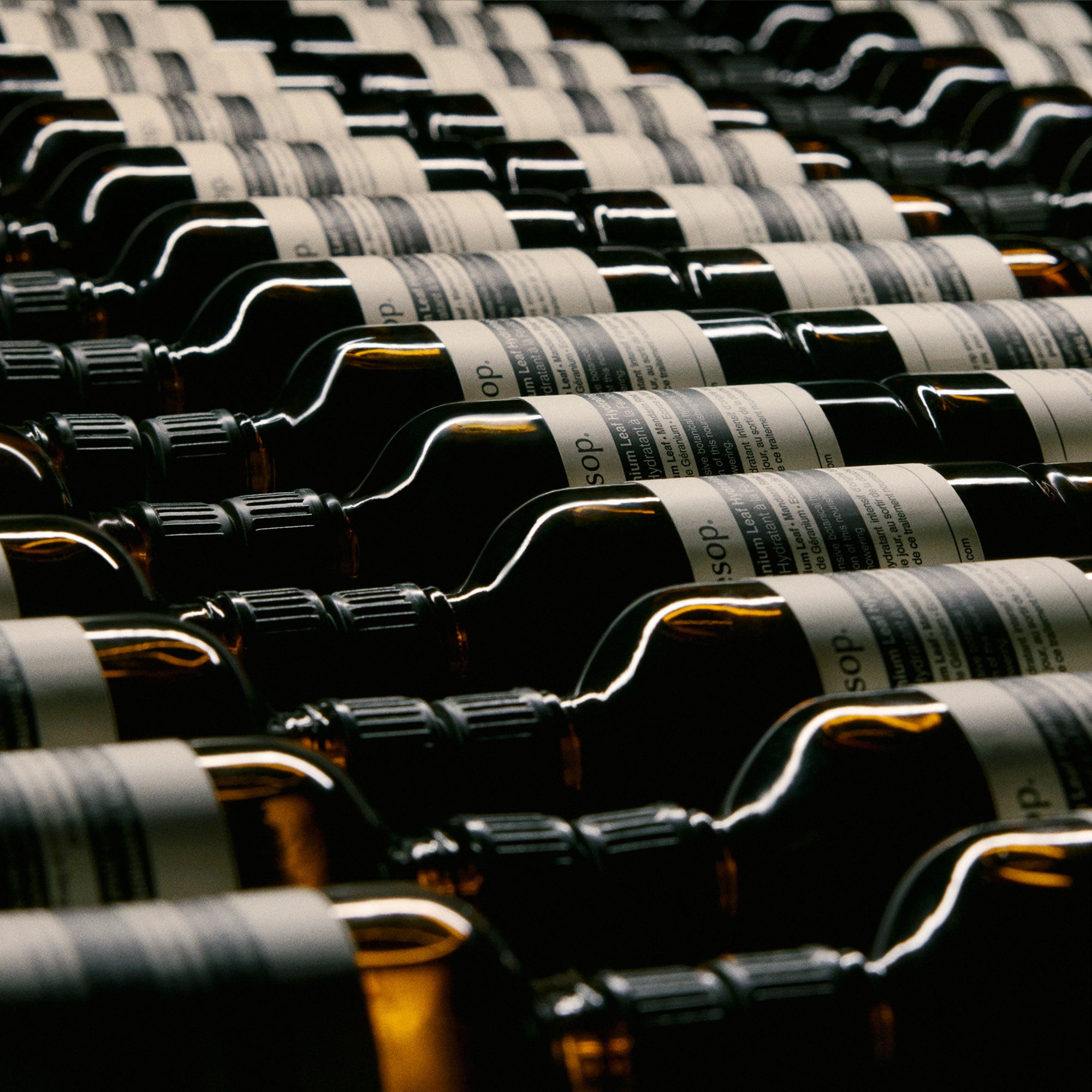 Geranium Leaf Hydrating Body Treatment | Body Oil | Aesop Norway