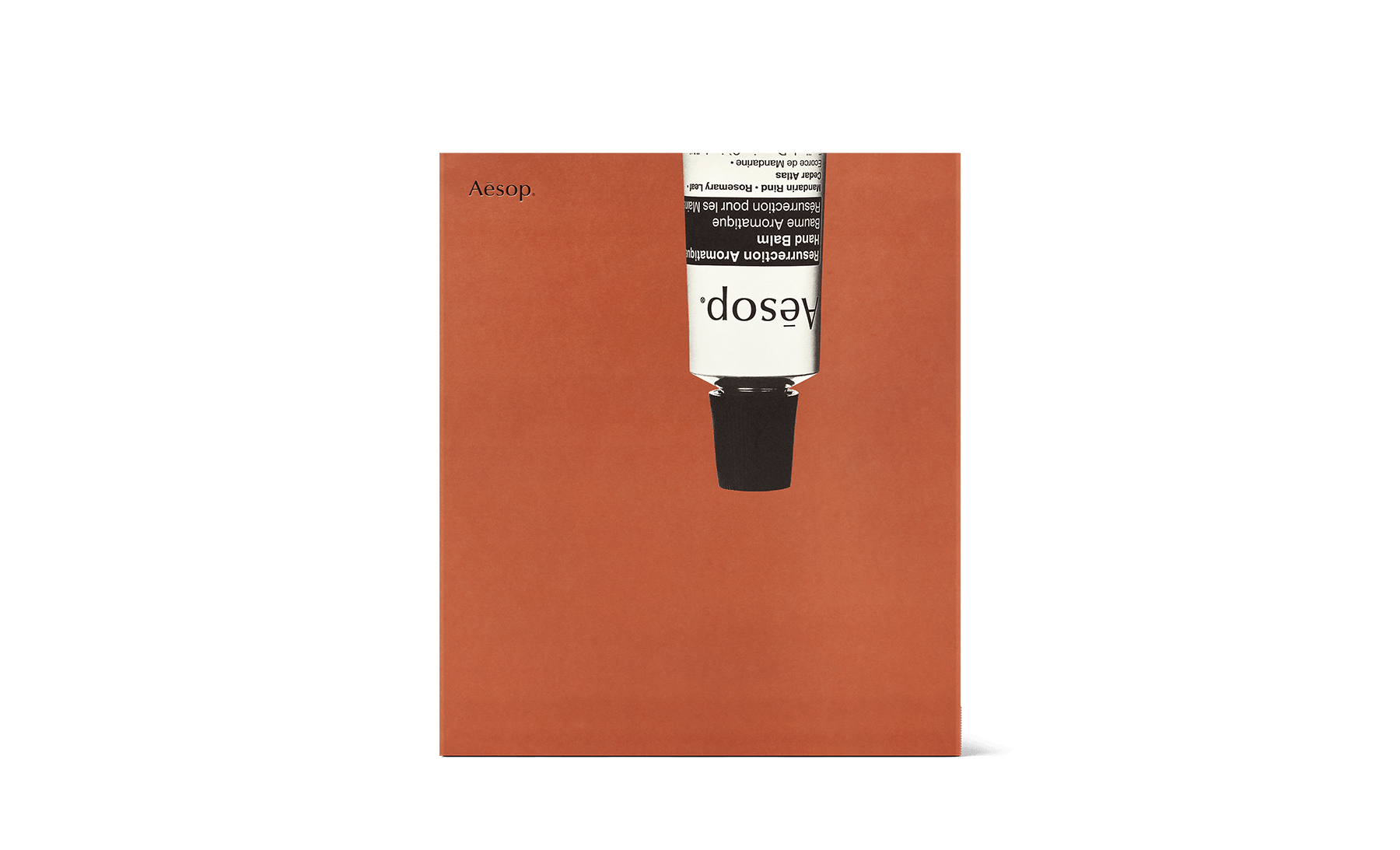 The Aesop Abode | Aesop